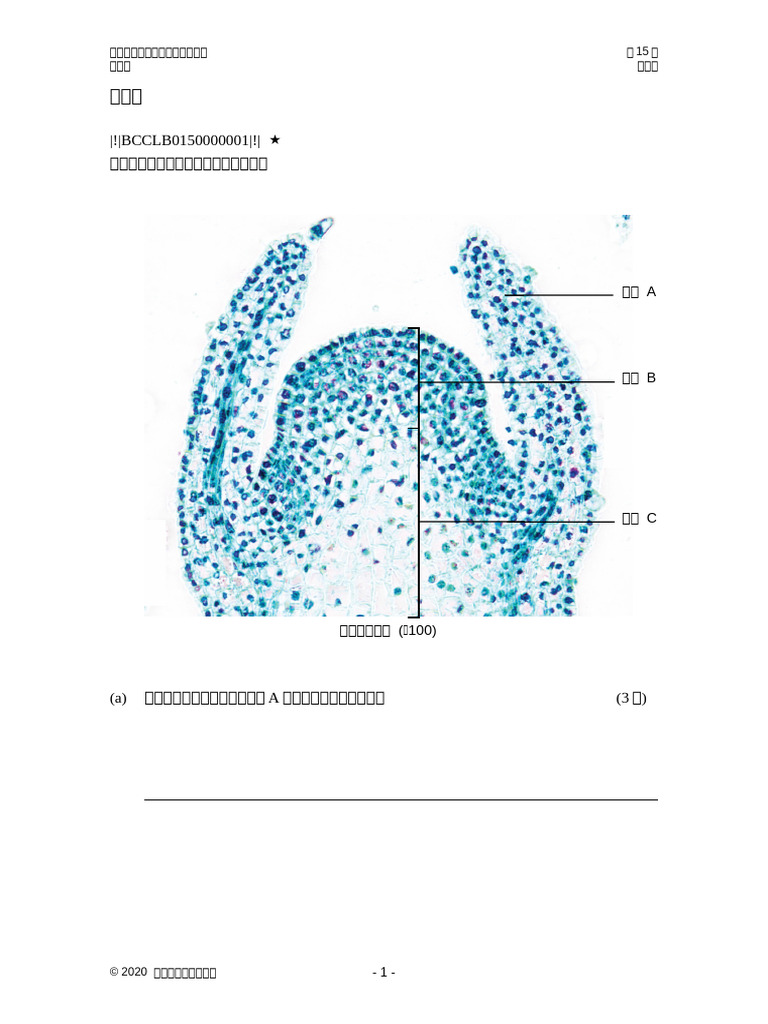 BIO Ch15 LQ C | PDF