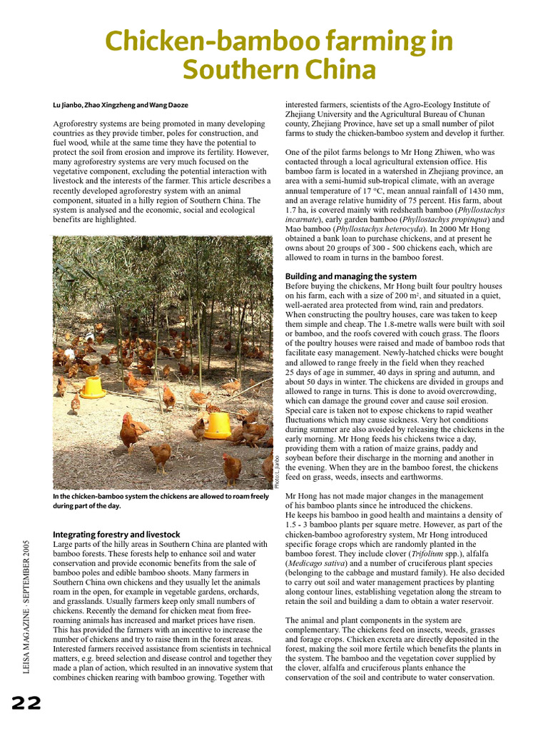Chickenbamboo Farming in Southern China-groen Kennisnet 93579 | PDF ...