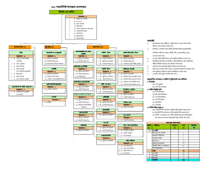 100 Bed Organogram | PDF