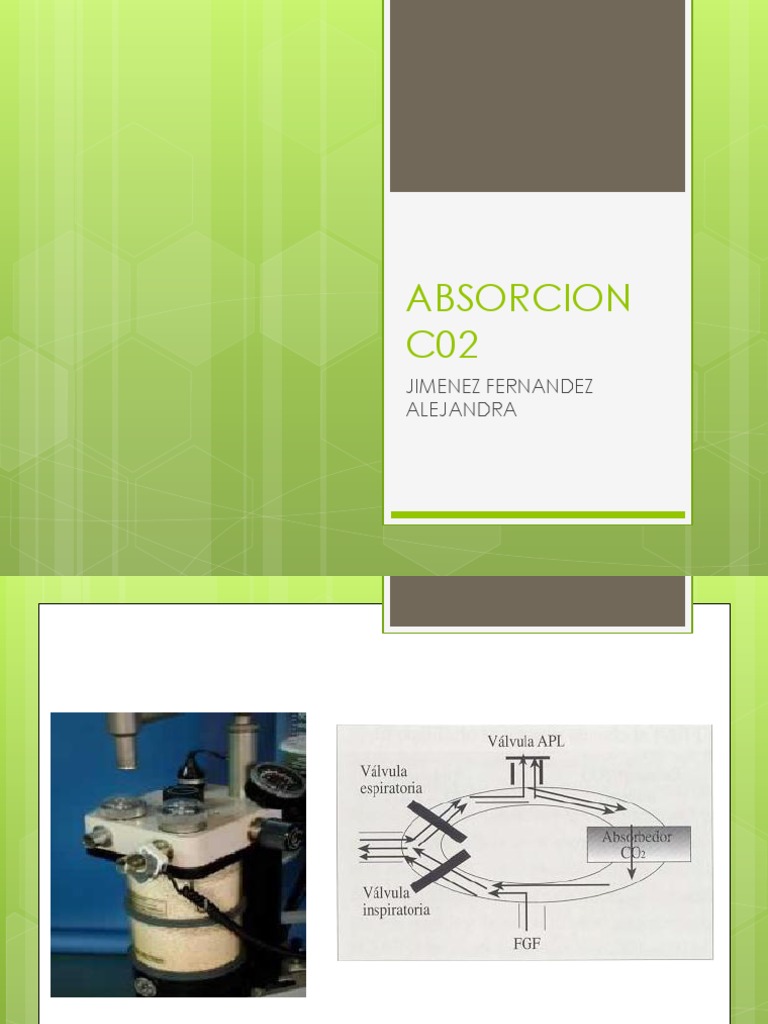 Absorción CO2 | PDF | Hogar, jardinería y bricolaje | Ciencia y matemáticas