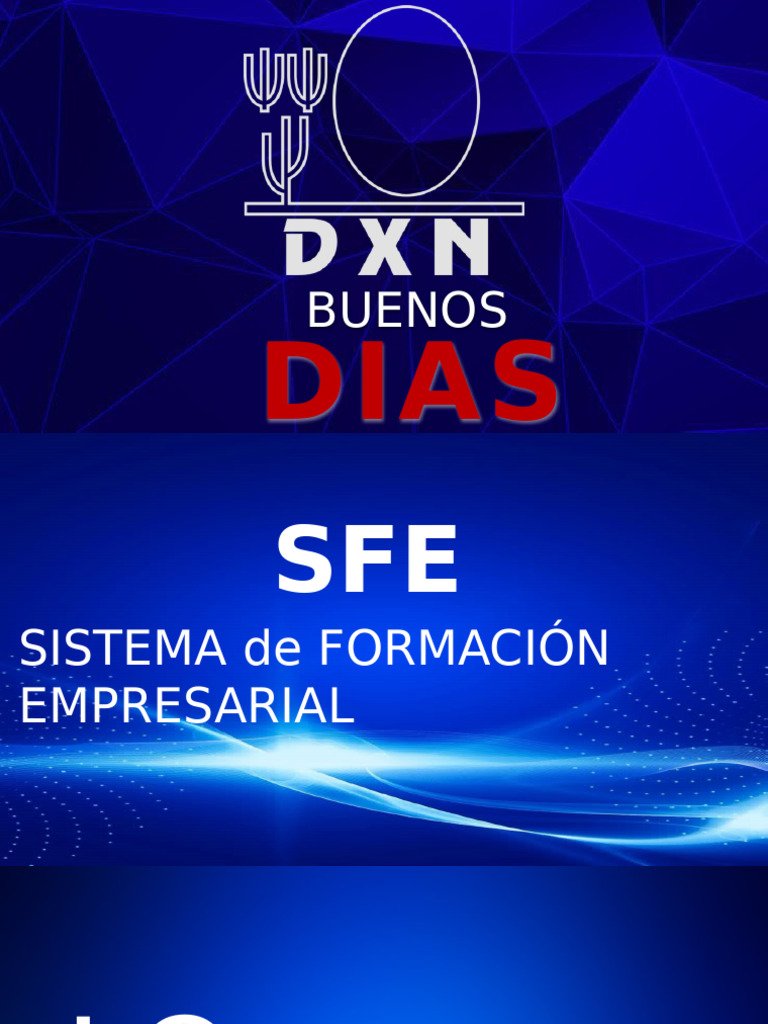 Lo Basico Sfe | PDF