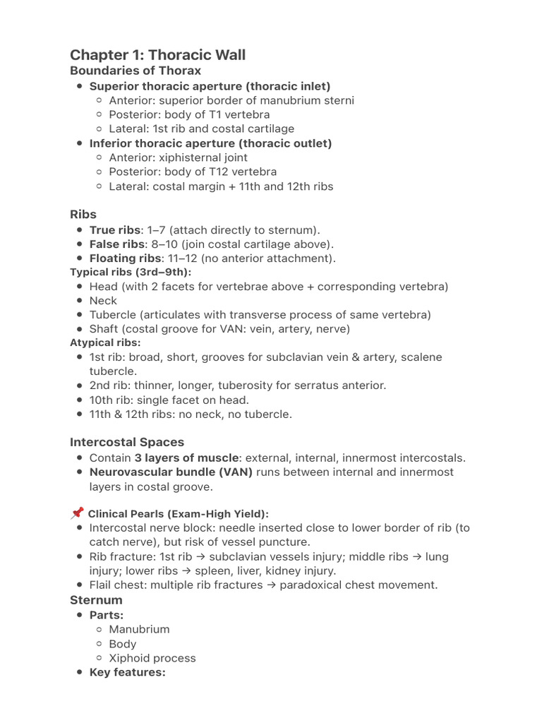Thoracic Anatomy: Key Structures & Functions | PDF | Heart Valve | Lung