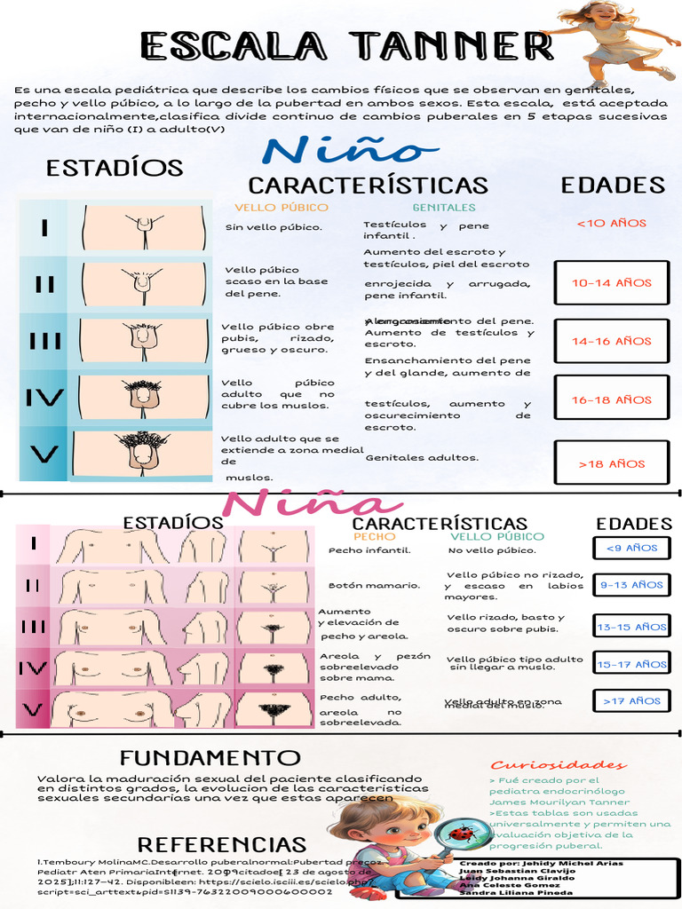 Infografia Escala de Tanner PDF | PDF | Reproducción humana ...