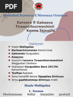 Formaatii Gabaasa Torbee Lama. | PDF