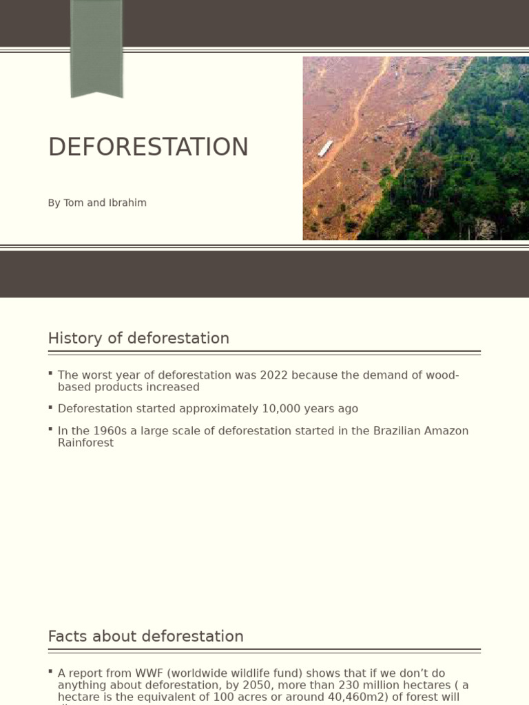 Deforestation: Causes, Impact, and Solutions | PDF