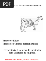 Mat. Estudos - Microbiota Ruminal - Nutrição de Ruminantes | PDF ...