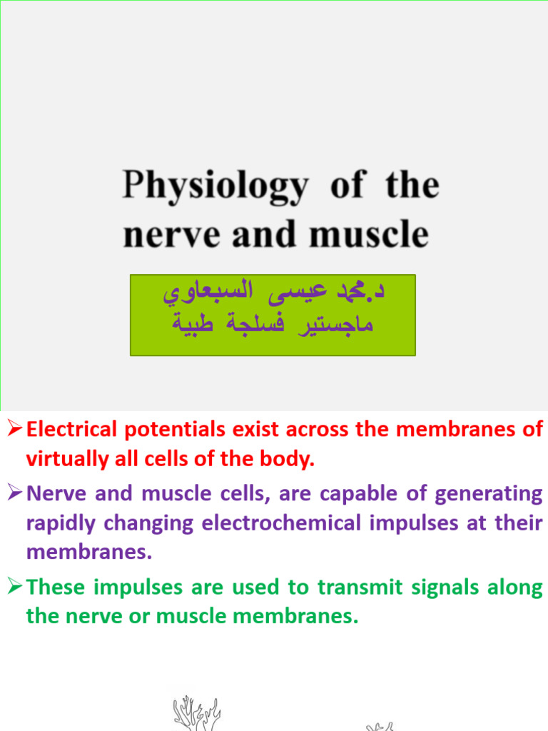 Nerve and Muscle Physiology Explained | PDF | Muscle Contraction ...