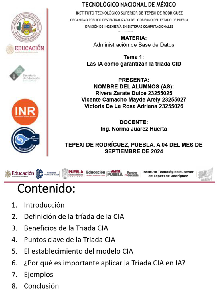 IA y la Triada CID en Seguridad | PDF | Inteligencia artificial ...