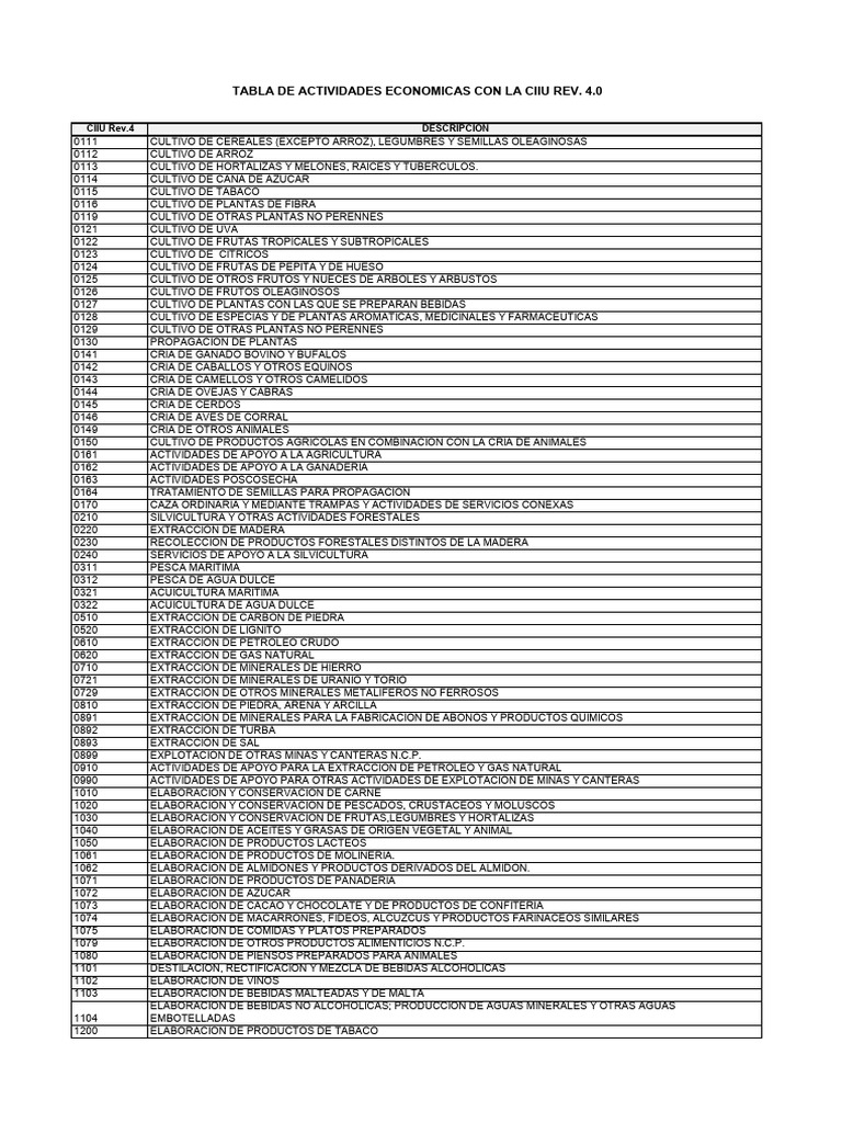 Tabla Oficial CIIU Rev4 | PDF