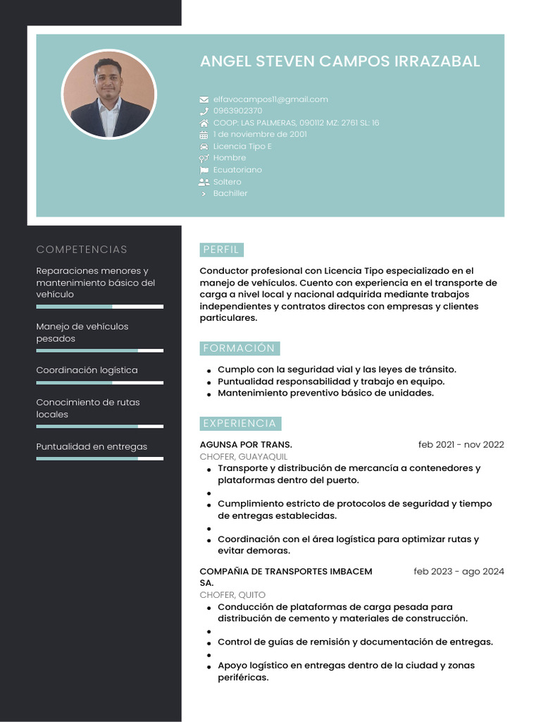 CV Angel Steven Campos Irrazabal | PDF