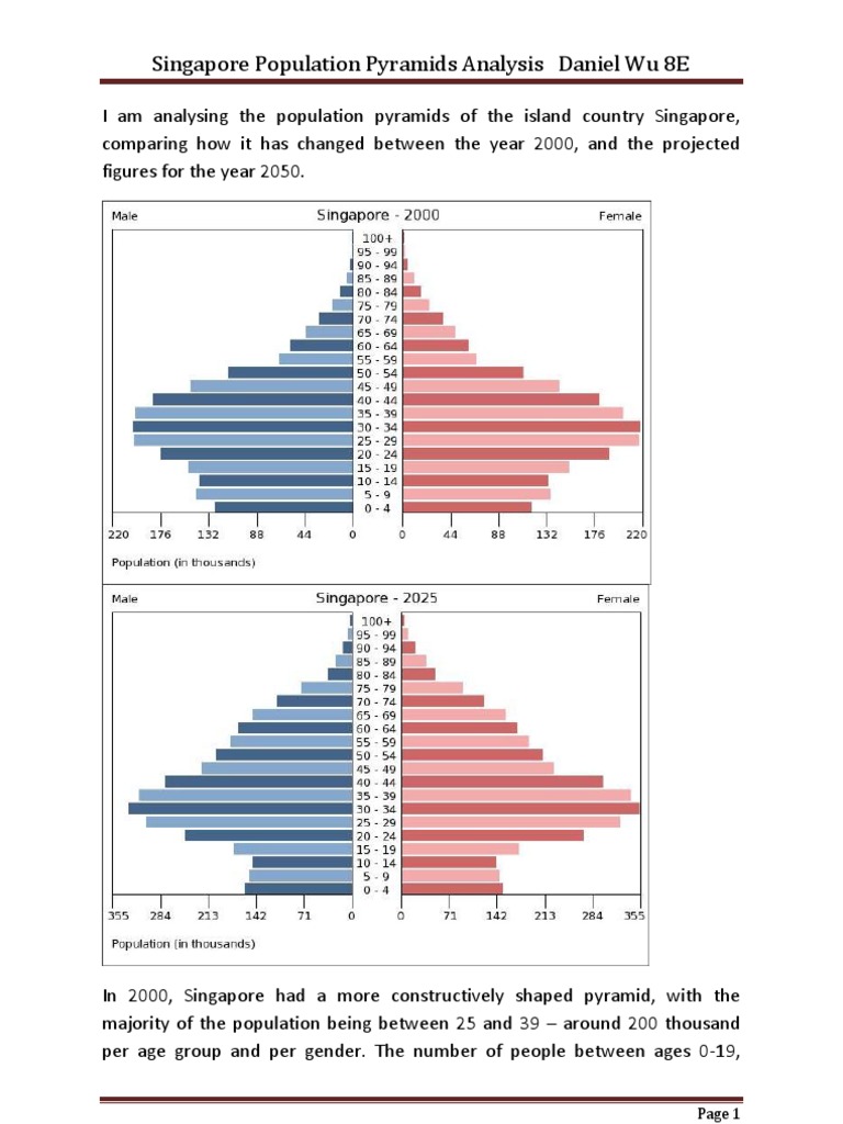 Population Pyramids Analysis - Singapore Daniel Wu | Singapore | World ...