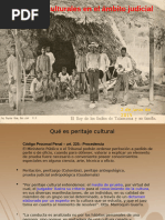 Funciones del Peritaje Antropológico | PDF | Antropología | Conocimiento