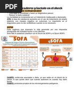 Hiperlactatemia: Causas y Tratamiento | PDF | Ácido láctico | Fisiología