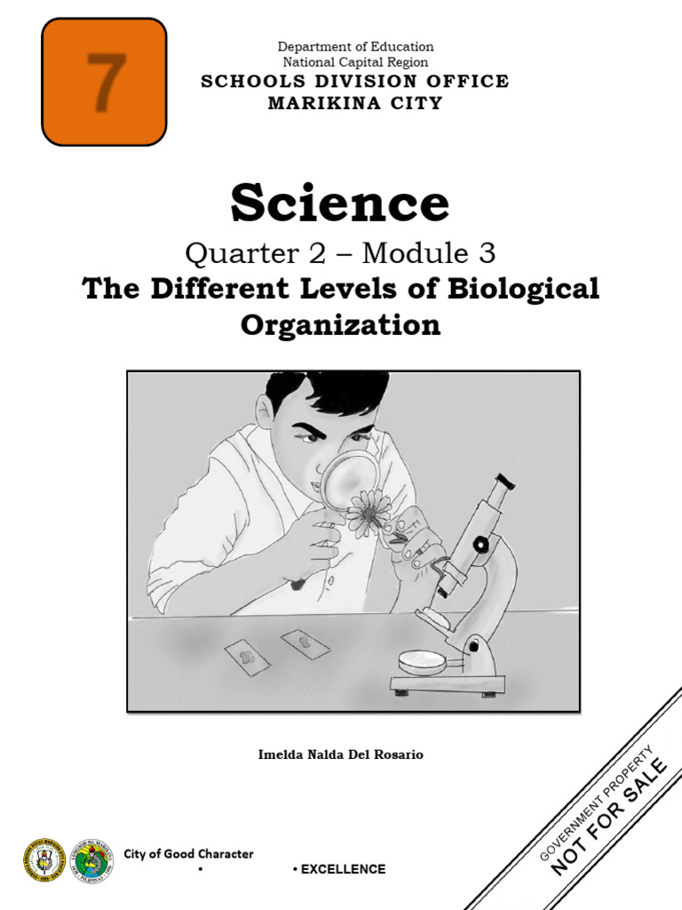 Levels of Biological Organization | PDF | Tissue (Biology) | Plants