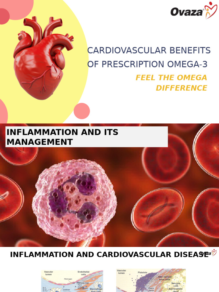 RTD Deck of Ovaza Edit | PDF | Omega 3 Fatty Acid | Inflammation