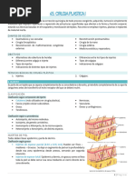 Escarotomía y Escarectomía en Quemaduras | PDF | Quemar | Herida