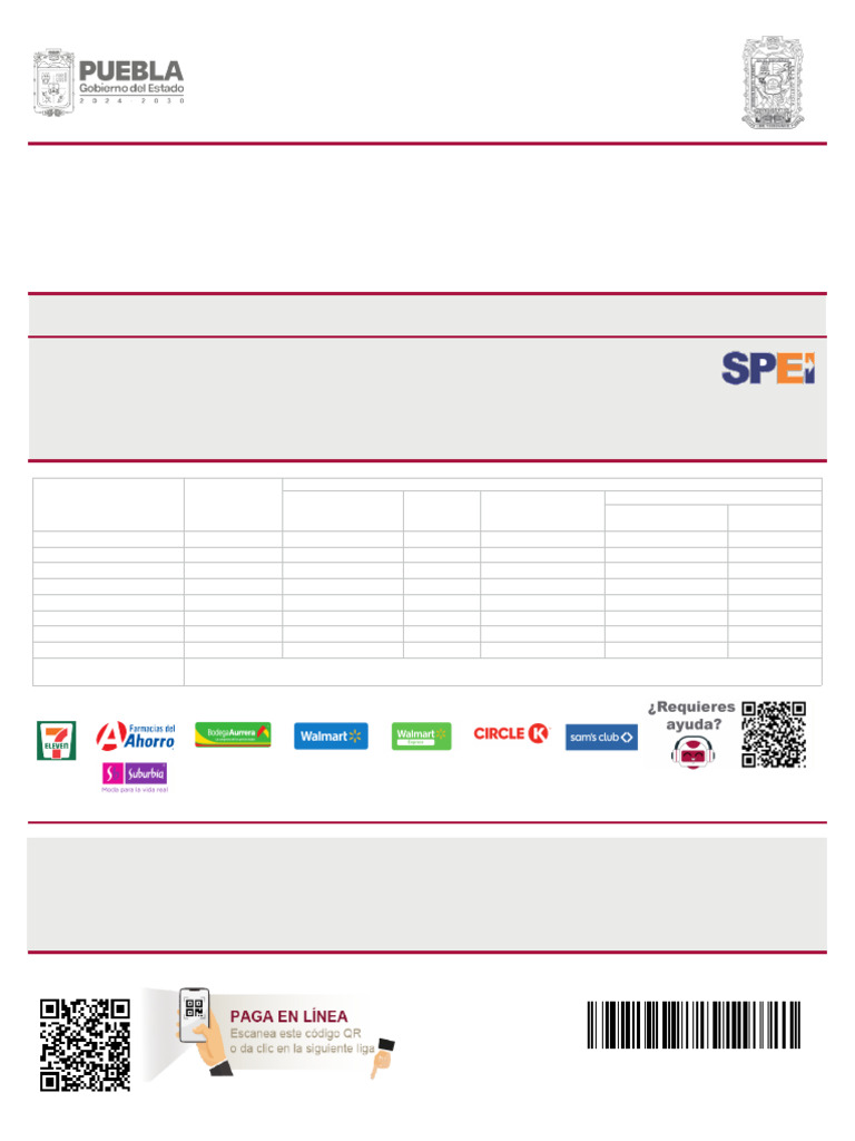 Formato de Pago | PDF | Bancos | Industrias de servicio