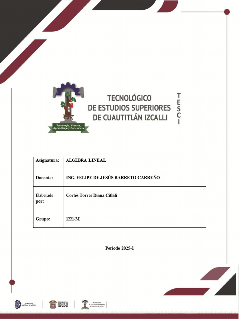 Portafolio Cortes Torres Diana Citlali | PDF | Número complejo | Matriz ...