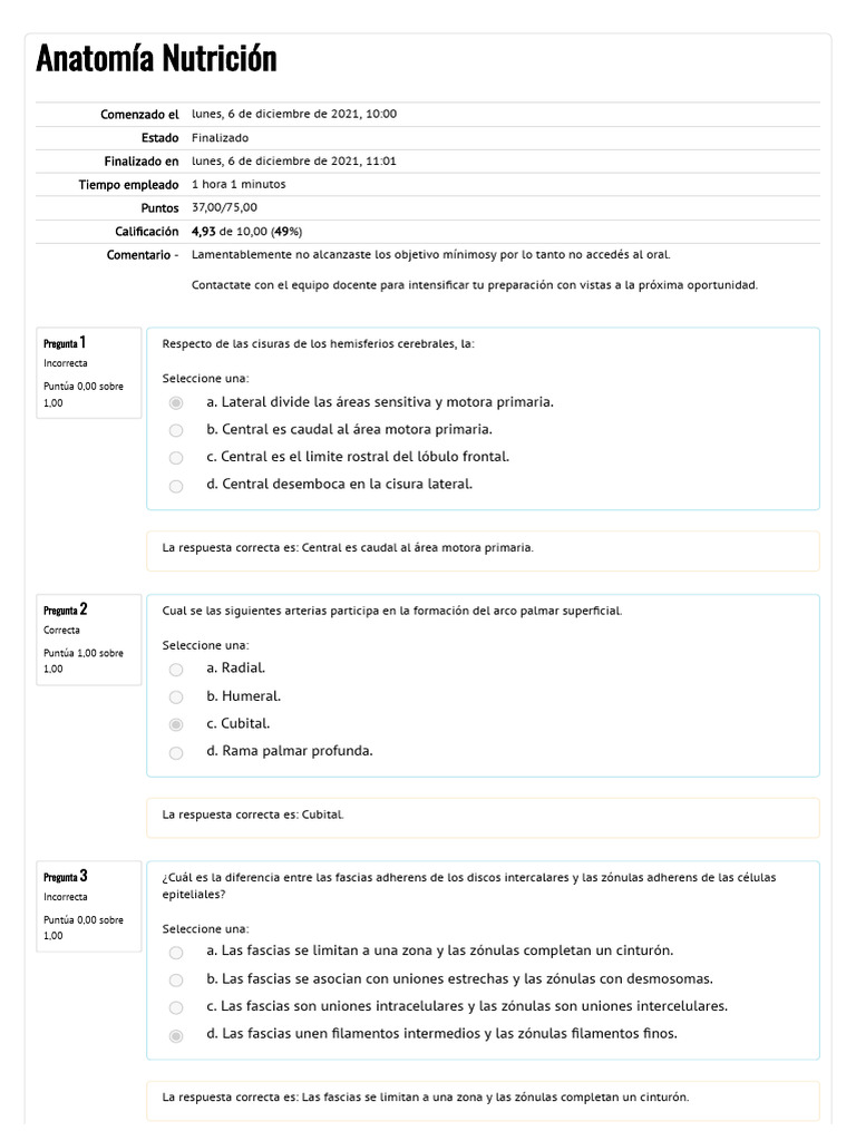 Final Anatomia 6 de Diciembre (Hecho) | PDF | Sistema nervioso | Neuroanatomía