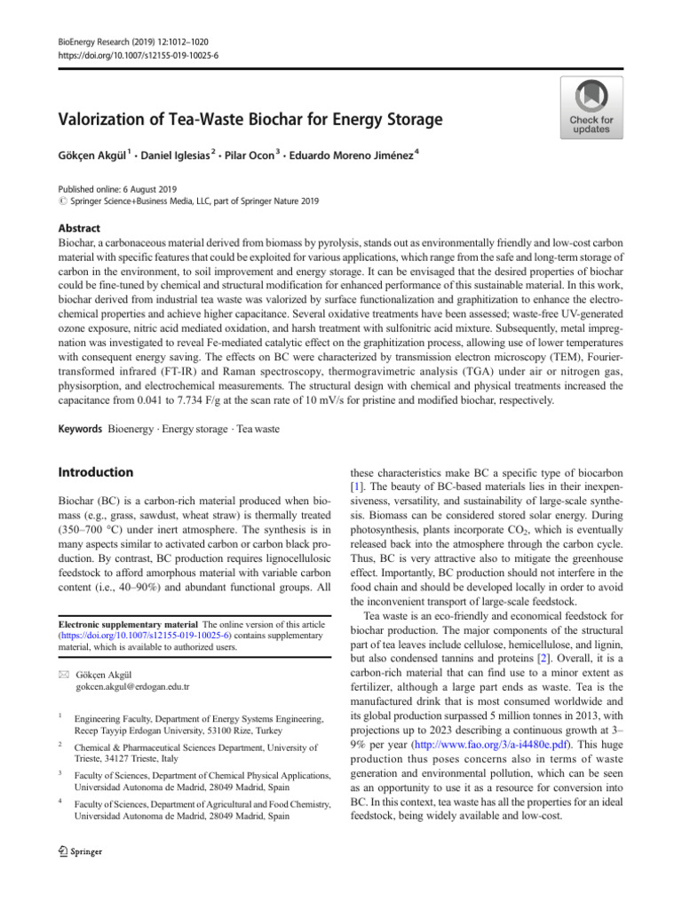 2019-Valorization of Tea-Waste Biochar For Energy Storage | PDF ...