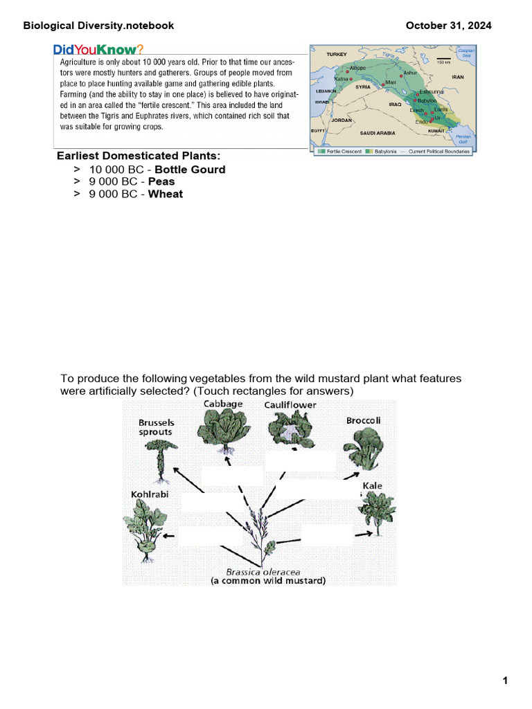 Understanding Biological Diversity | PDF | Natural Selection | Reproduction