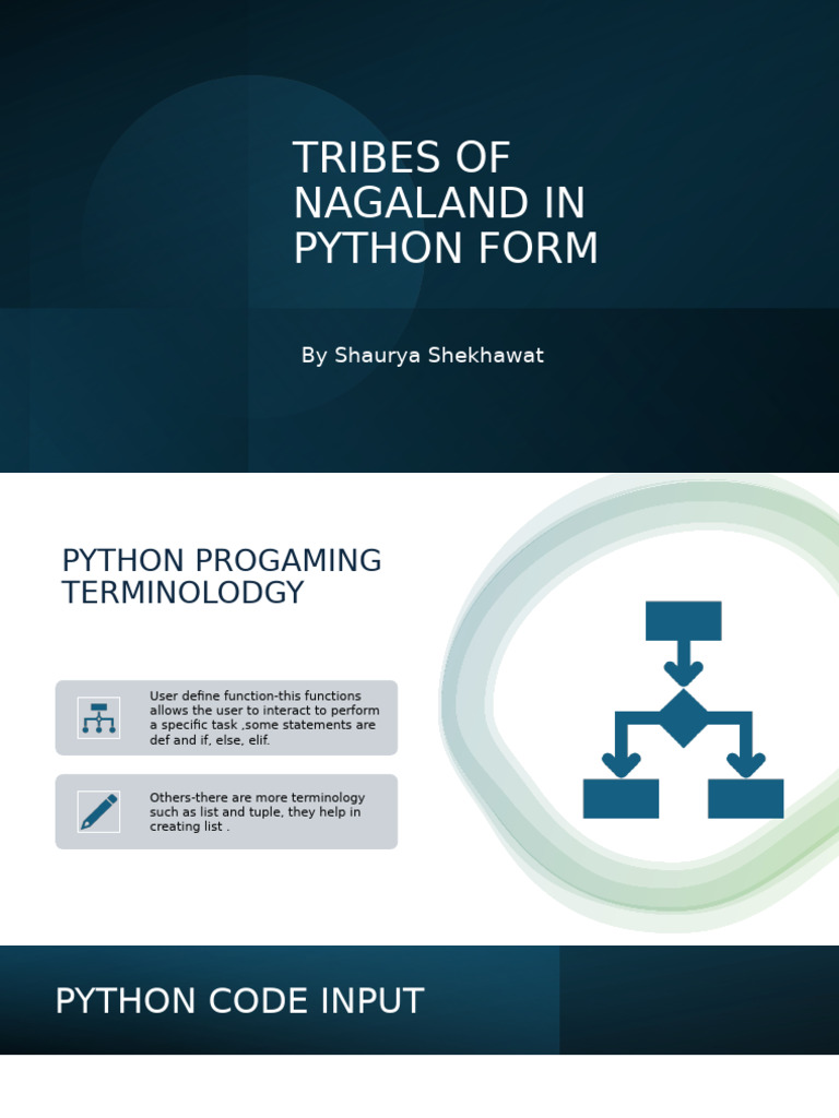 Tribes of Nagaland in Python Form | PDF