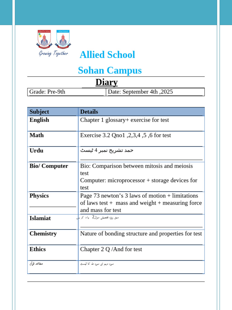 Diary Pre 9th | PDF