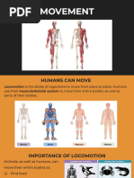 S.3 Bio Notes Locomotion | PDF | Vertebra | Vertebral Column