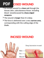 Understanding Stab Wounds: Types & Characteristics | PDF | Knife | Wound