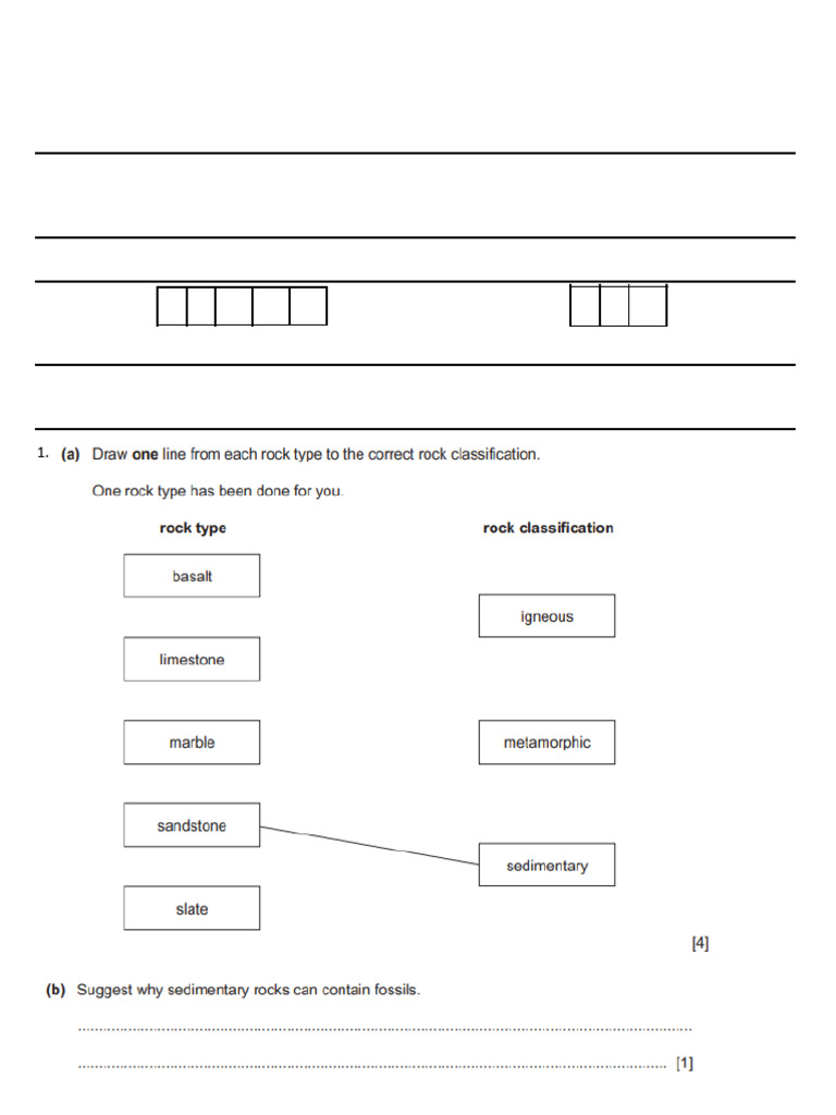 DPS Nacharam Environmental Management Worksheet | PDF