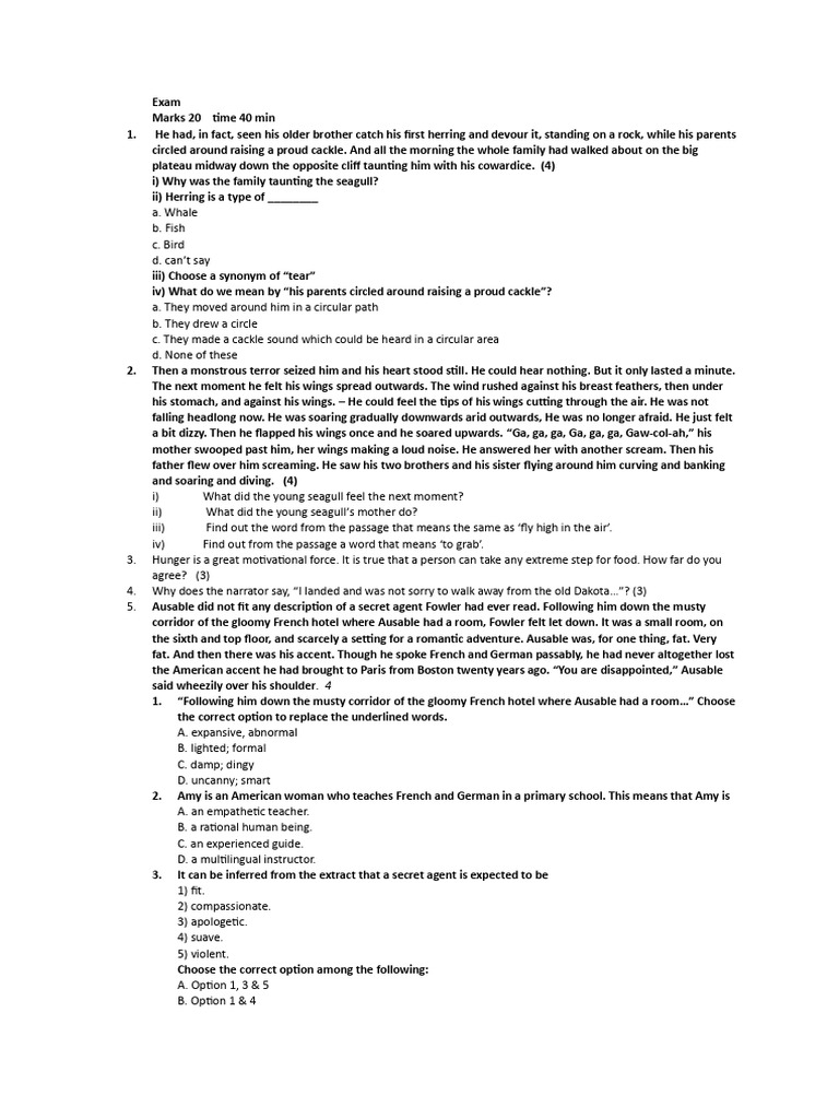 Seagull and Spy: Exam Questions | PDF