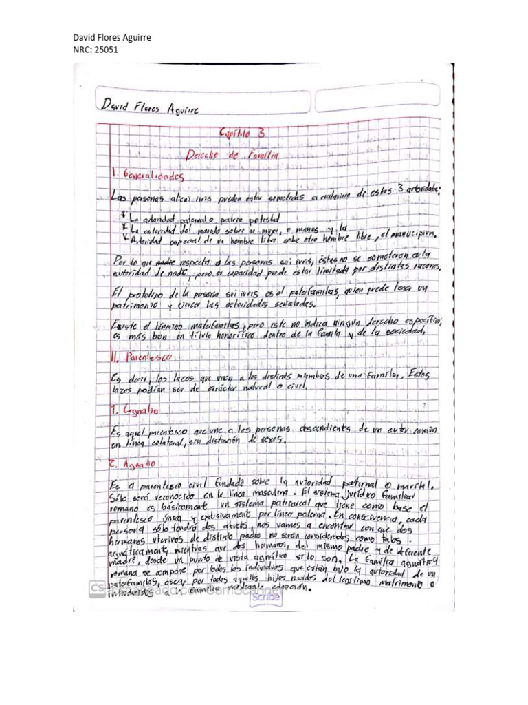 Capitulo 3. Resumen y Árbol | PDF