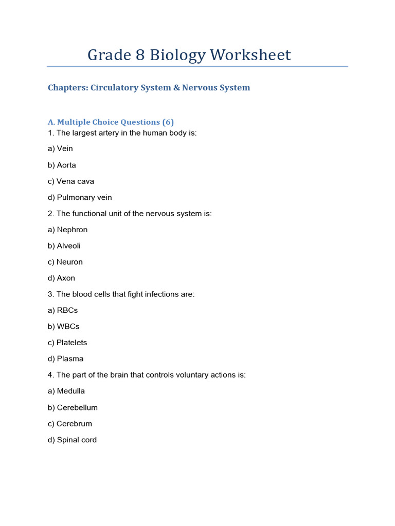 Grade 8 Biology: Circulatory & Nervous Systems | PDF | Heart | Heart Valve