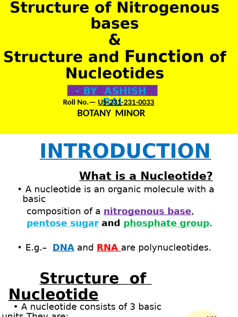 Nucleotide Structure and Function Explained | PDF | Nucleotides | Dna