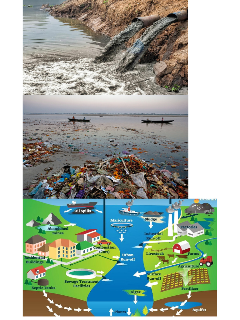 Poorani SaveRiver PrintOut | PDF