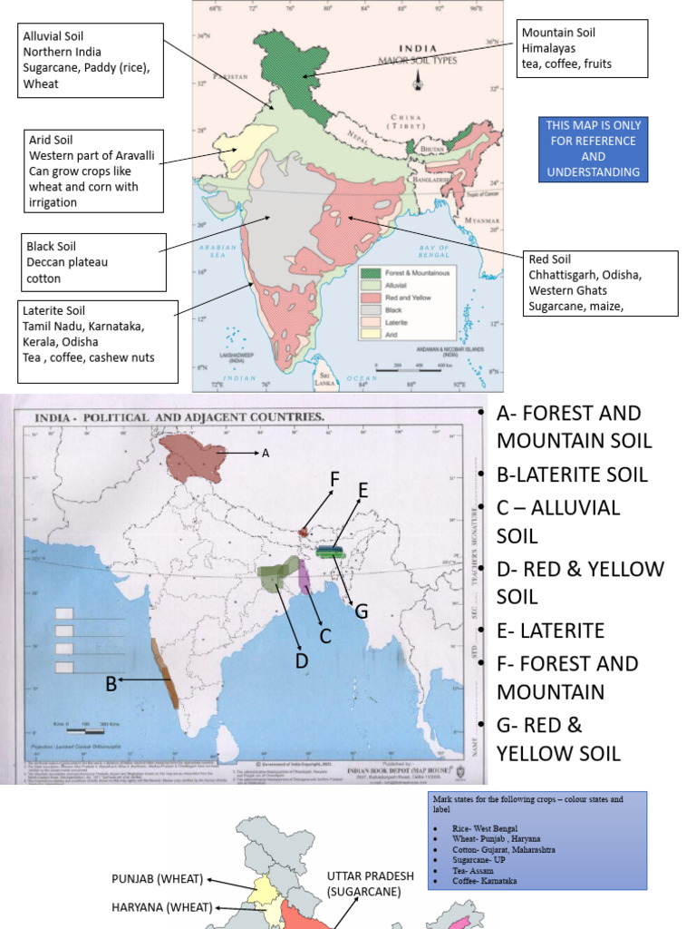 Soil Types and Crops in India Map | PDF