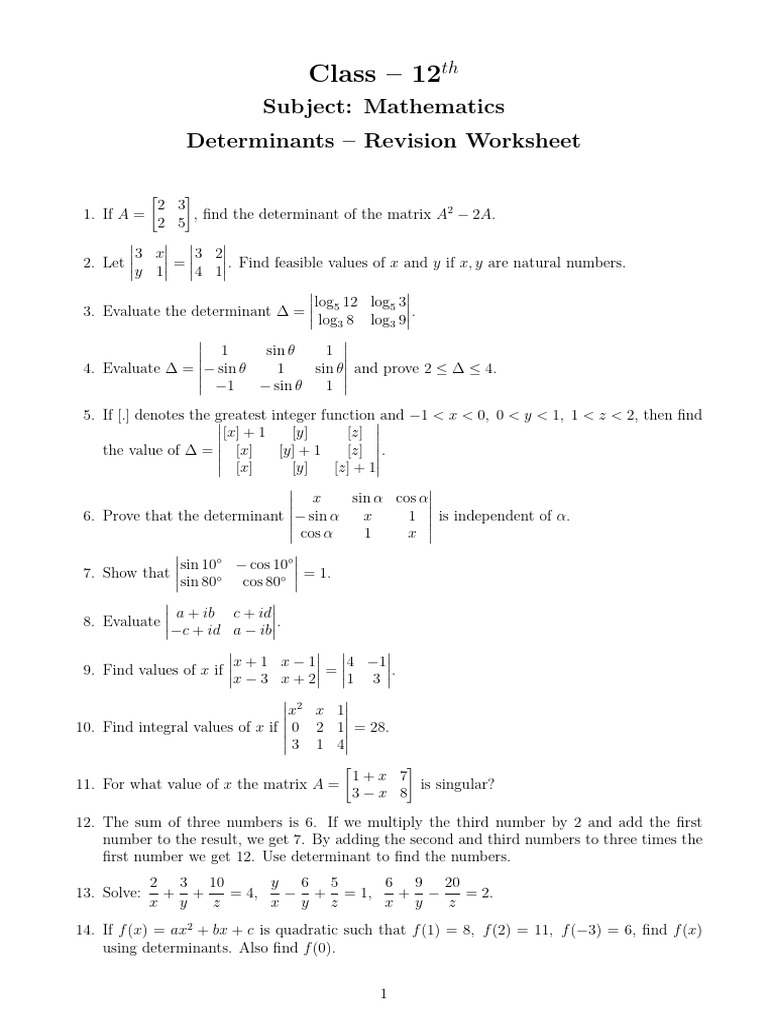 12th Grade Math Determinants Worksheet | PDF | Determinant | Mathematics