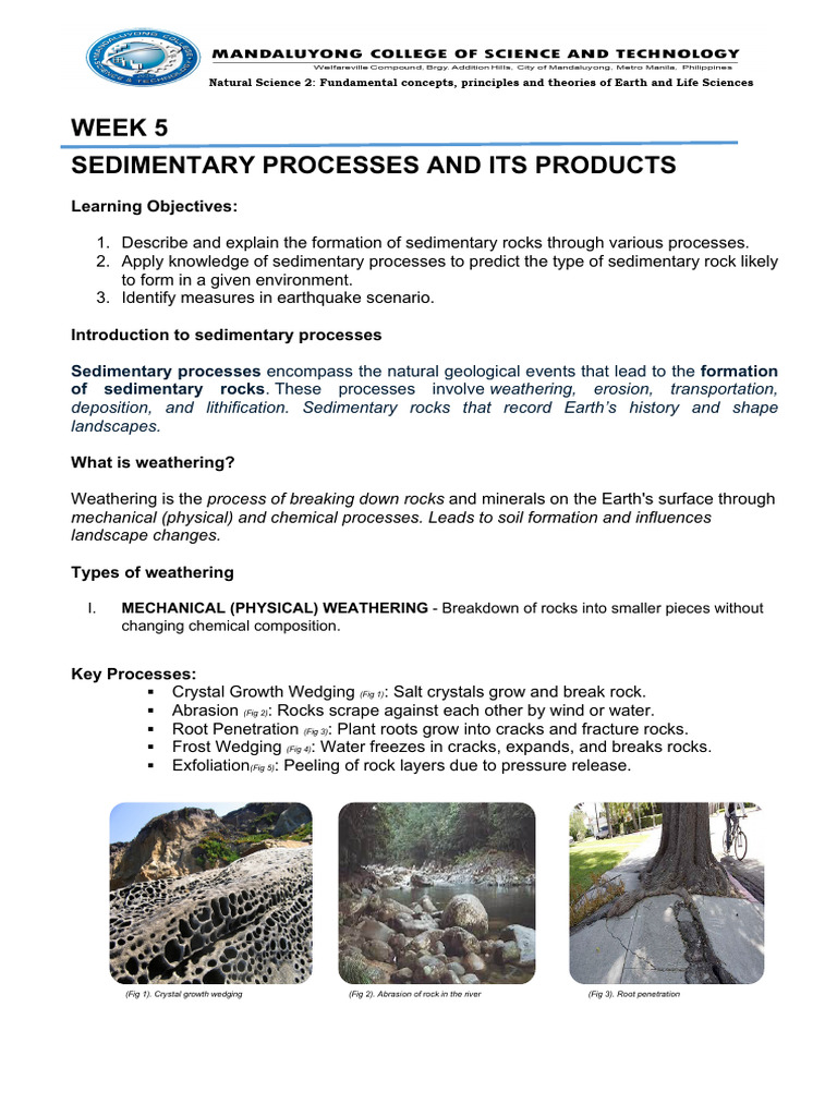 WK 5 Sedimentary Processes and Its Products | PDF | Sedimentary Rock ...