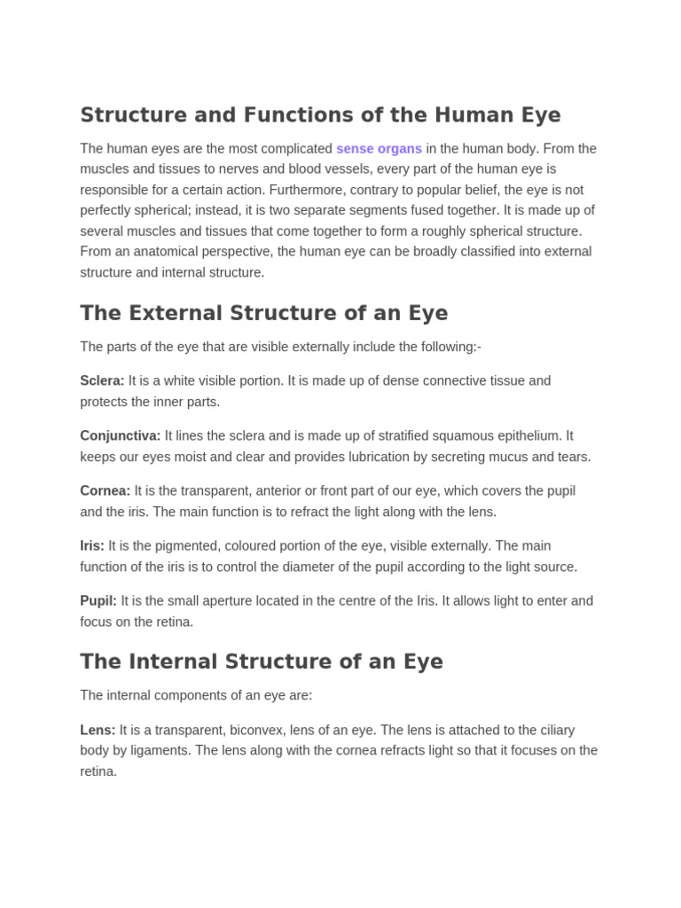 Anatomy and Functions of the Human Eye | PDF | Eye | Human Eye