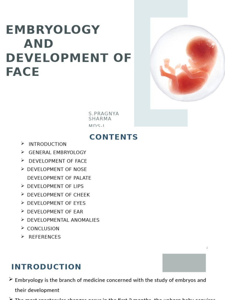 Embryology and Development of Face | PDF | Morphology (Biology ...