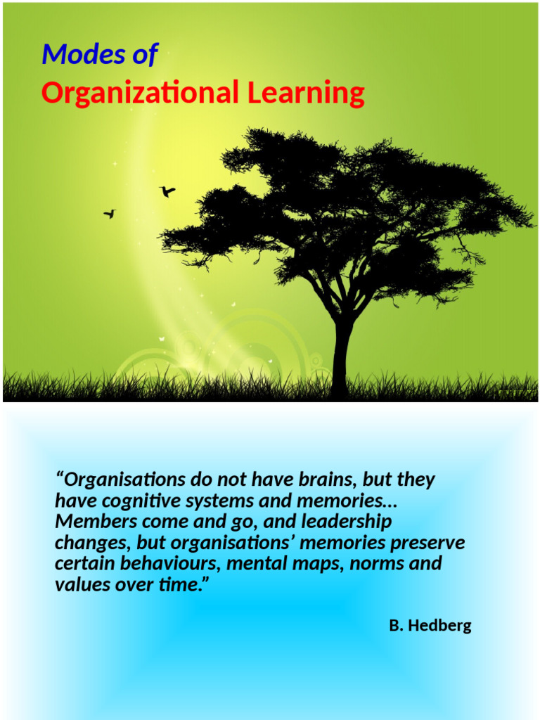 Modes Of Org Learning Pdf Learning System