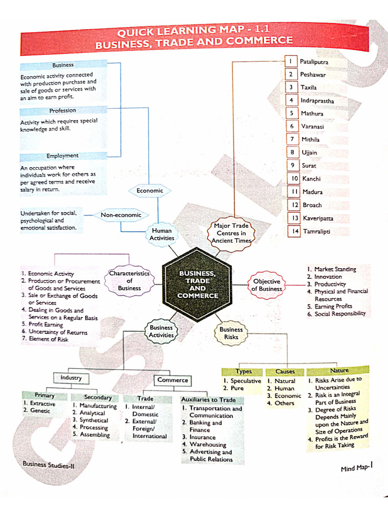 Mind Maps Xi BST | PDF
