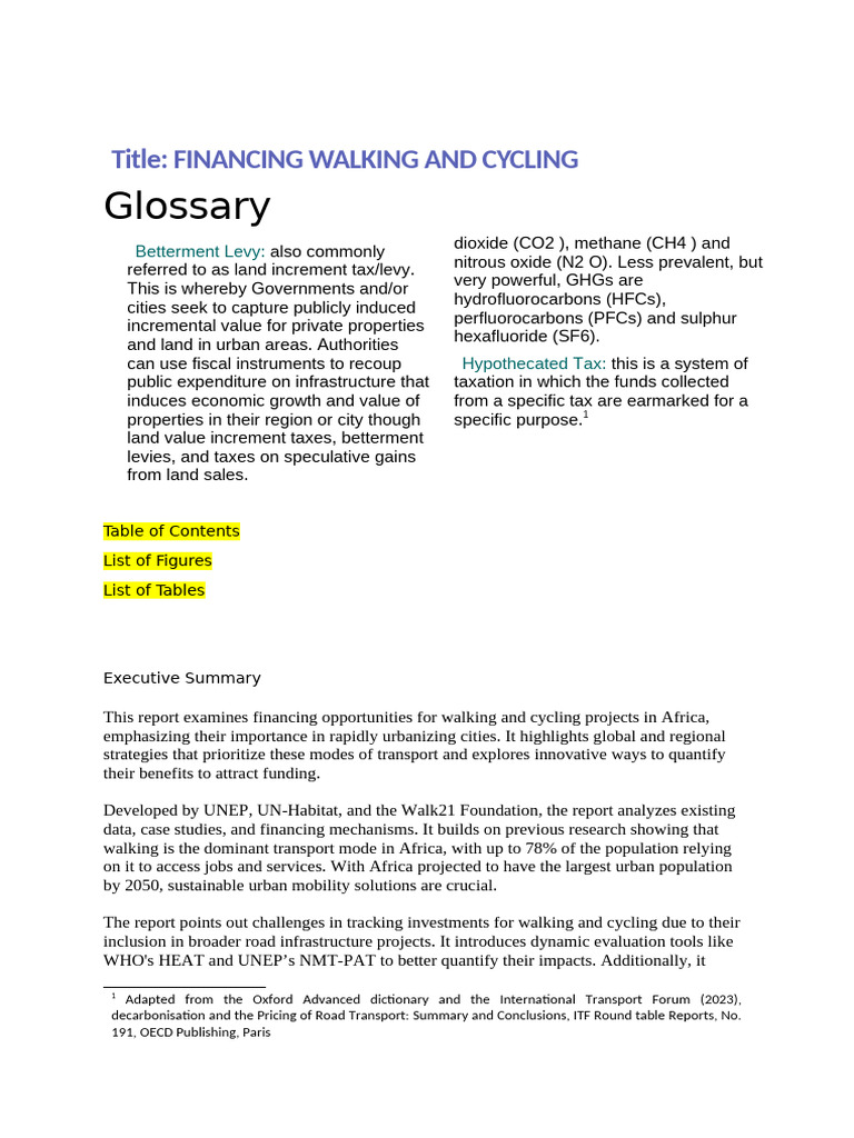 Dummy Report - 2025 A | PDF | Sustainable Transport | Infrastructure