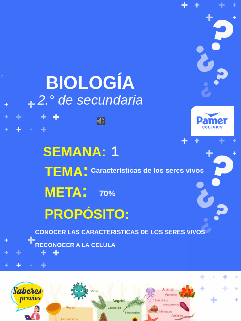 Seres Vivos, Citologia, Microscopio 2DO SEC | PDF