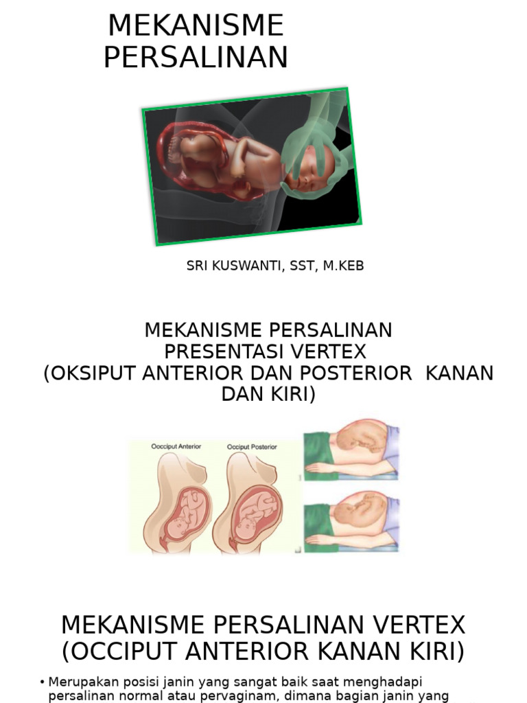 02. Mekanisme Persalinan | PDF