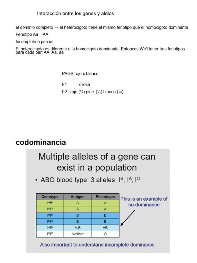 Interacción de Genes y Alelos en Fenotipos | PDF | Dominancia (Genética ...