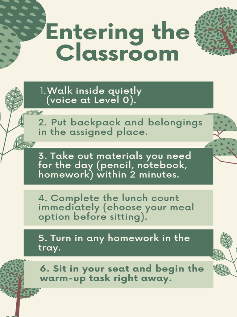 Classroom Entry and Behavior Guidelines | PDF