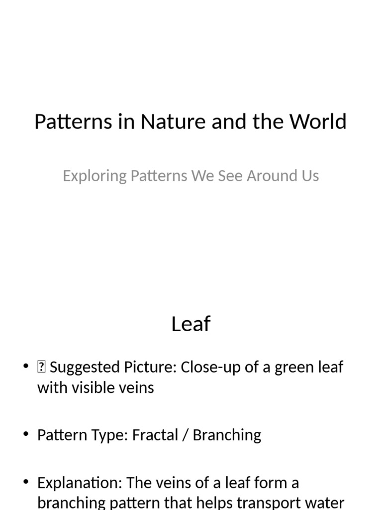Radial Patterns in Nature | PDF