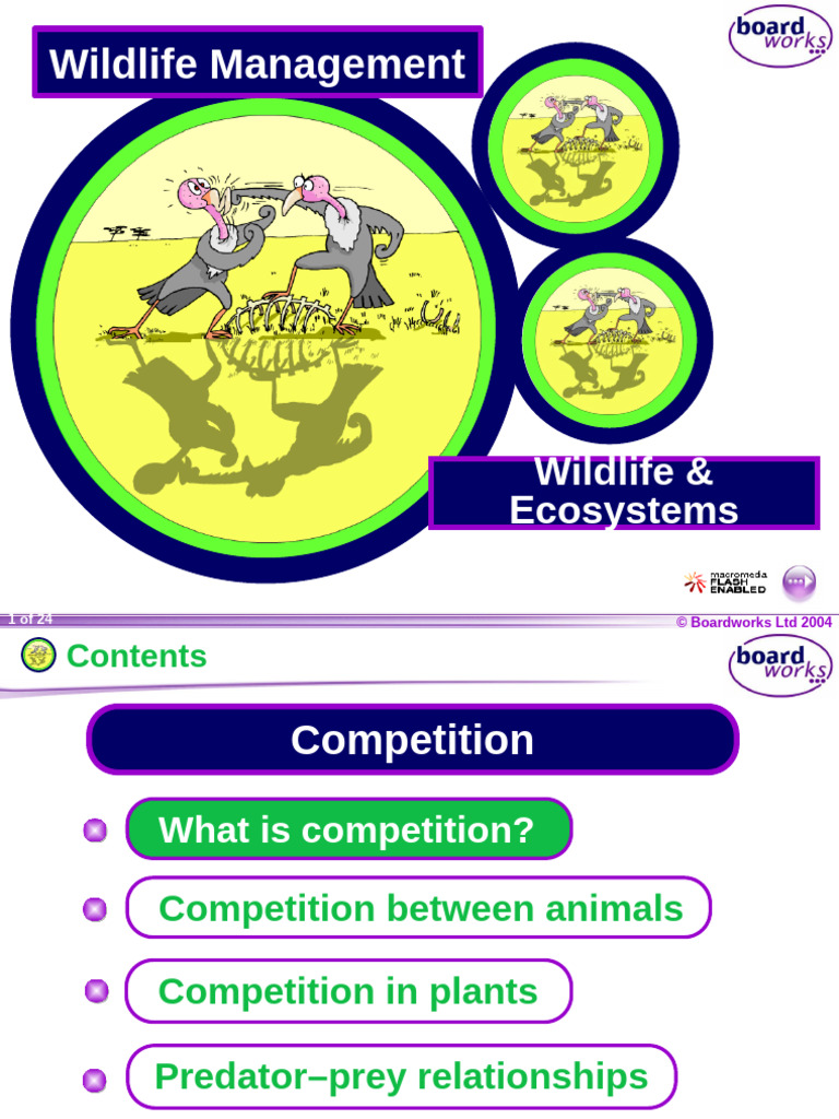 Wildlife and Ecosystems - Population, Competition and Niche | PDF ...