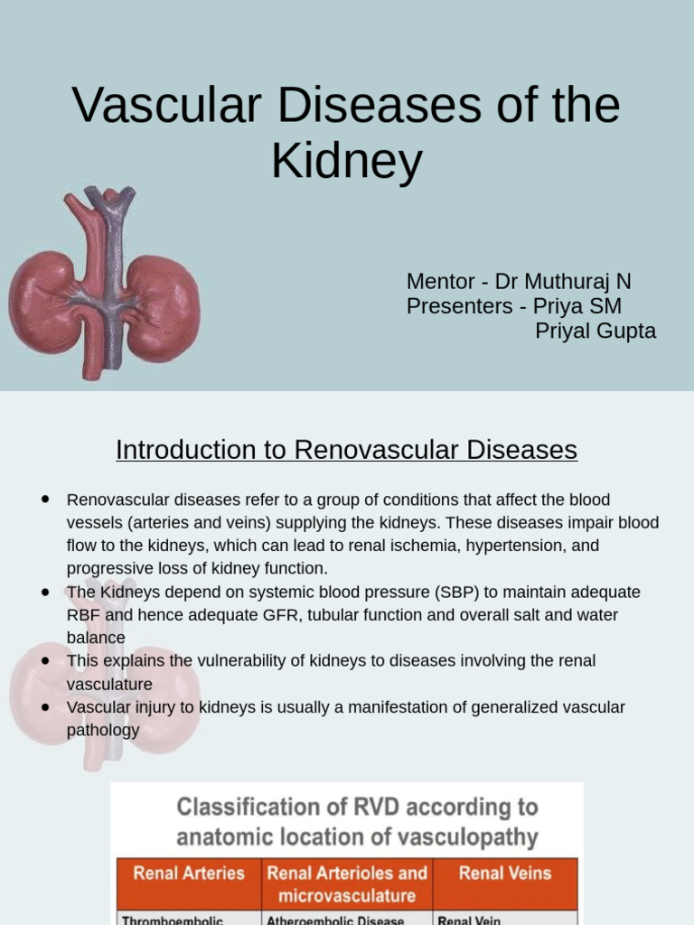 Kidney Vascular Diseases Overview | PDF | Thrombosis | Kidney